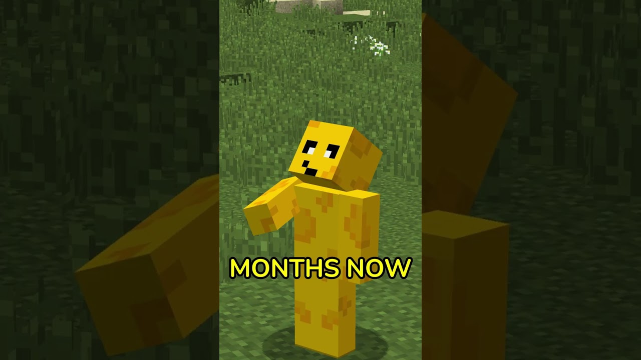 Why This is Minecraft's Most USELESS Item... - Minecraft videos