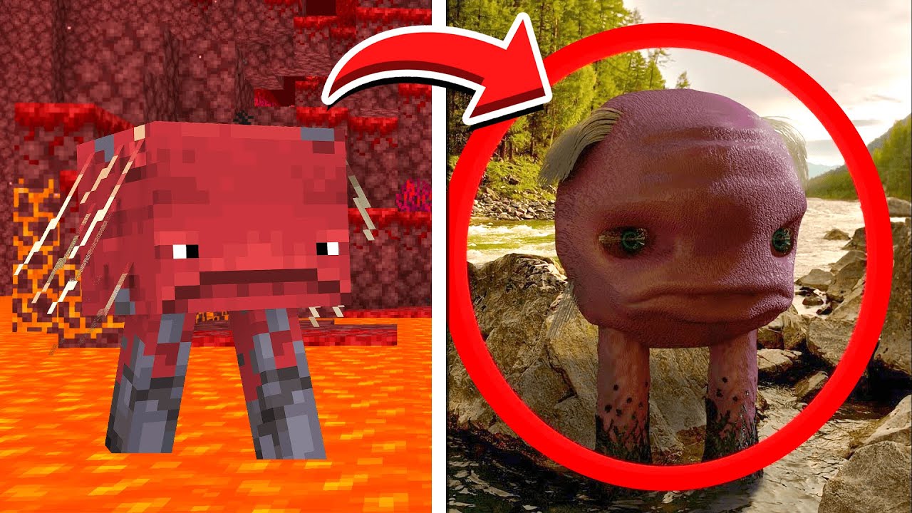 24h de Mobs do Minecraft CAPTURADOS NA VIDA REAL - Minecraft videos