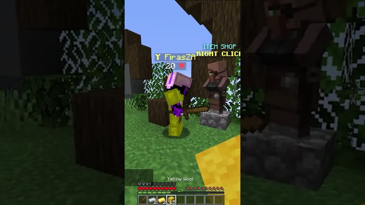 A (Possibly) Pointless Minecraft Fact - Minecraft videos