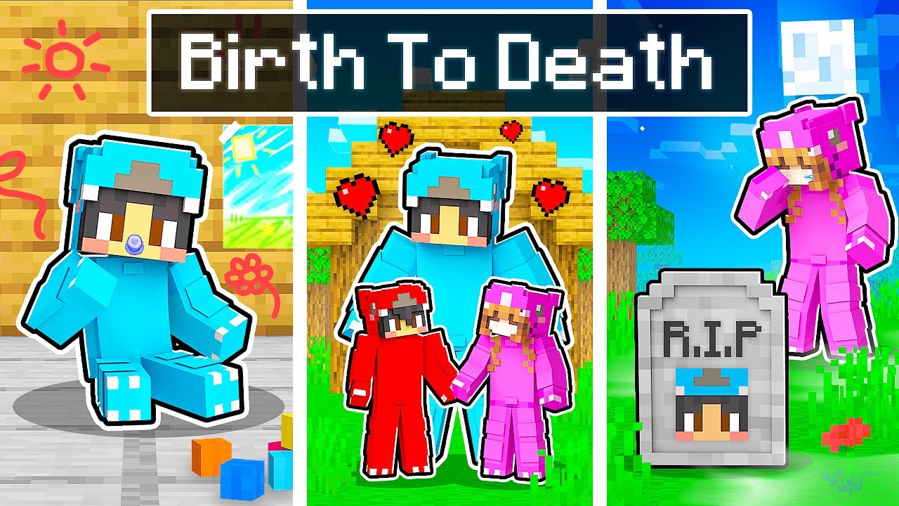 BIRTH to DEATH in MINECRAFT - Minecraft videos