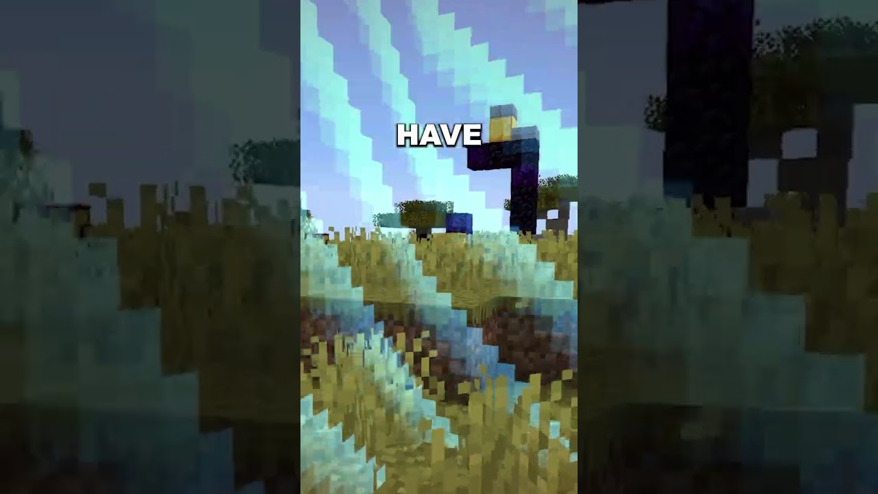 Minecraft, But Taking Damage Expands The Border... - Minecraft videos