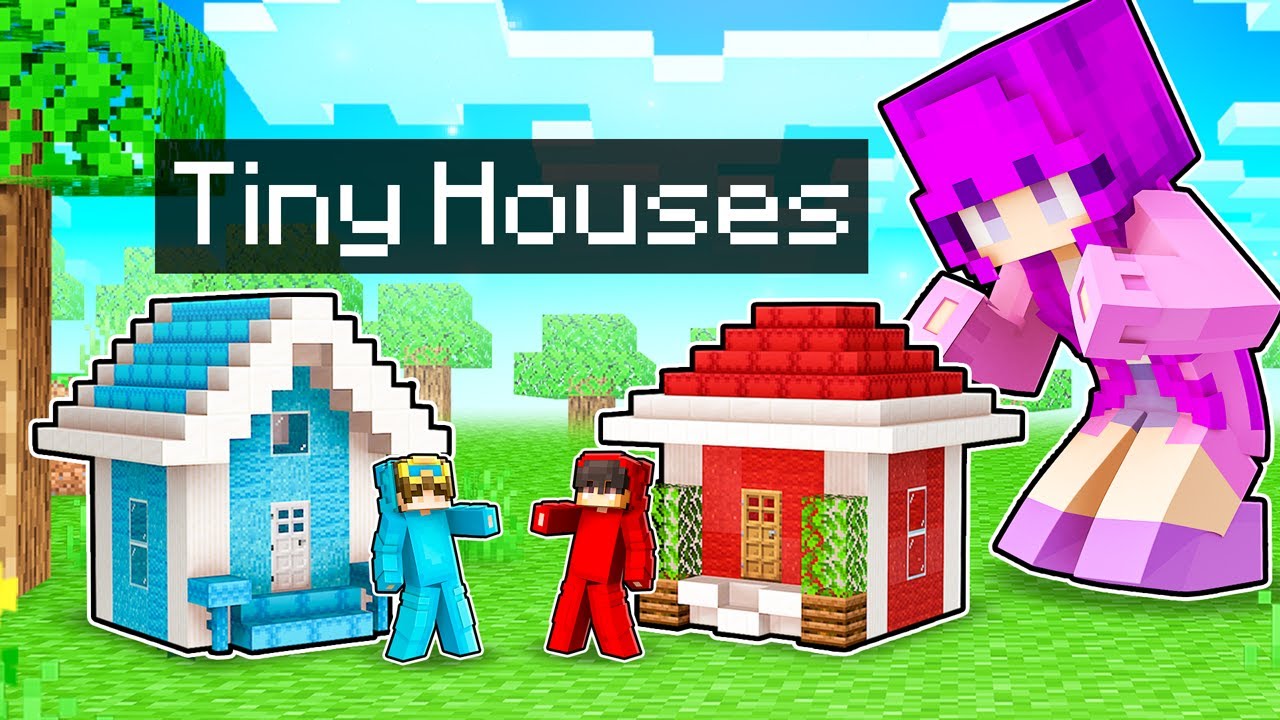 Nico vs Cash TINY House Battle in Minecraft! - Minecraft videos