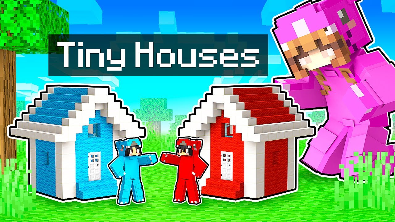SAFEST TINY HOUSE BUILD CHALLENGE Minecraft NOOB vs PRO - Minecraft videos