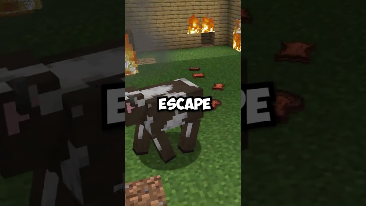 What If Minecraft Had Realistic Fire? - Minecraft videos
