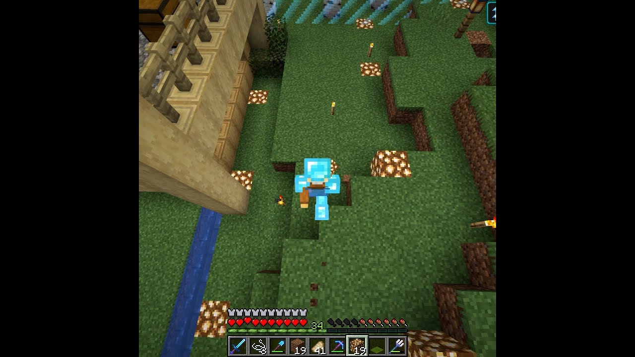 becoming anti-mob on the 100 by 100 Minecraft World - Minecraft videos