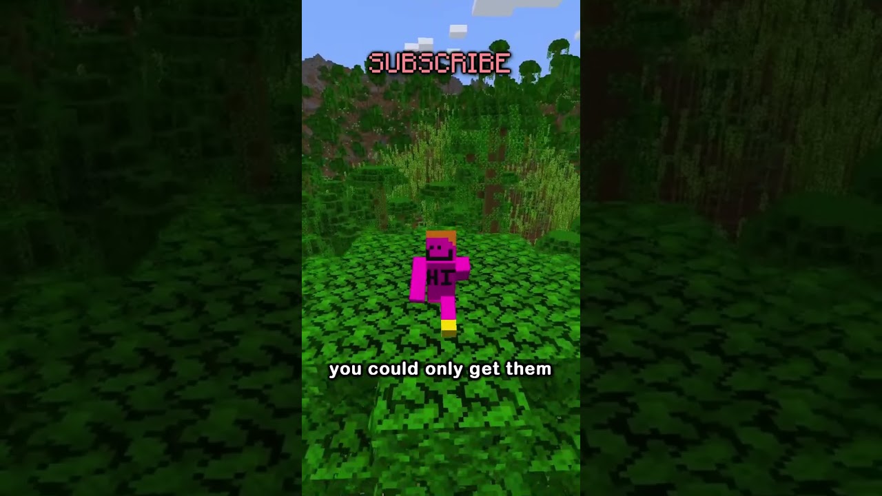 the rarest block in minecraft history... - Minecraft videos