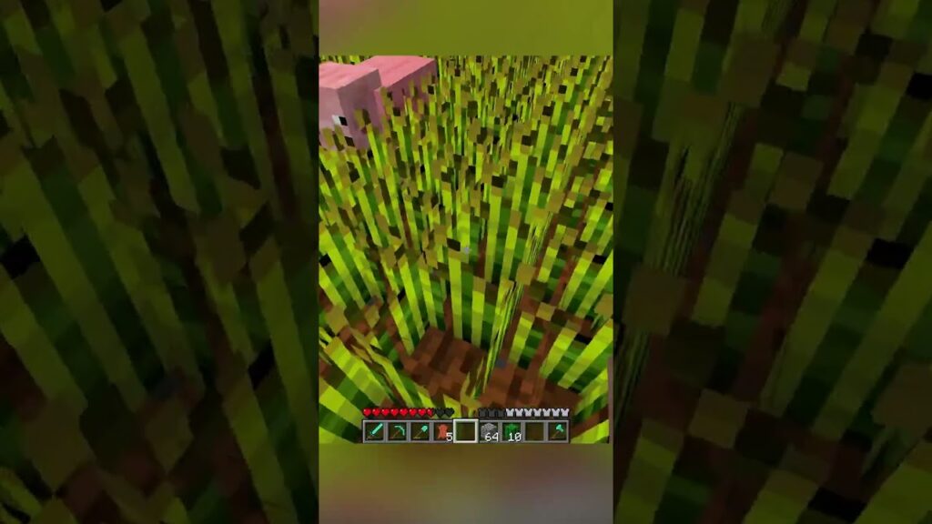 Yeah Jaron, Author at Minecraft videos