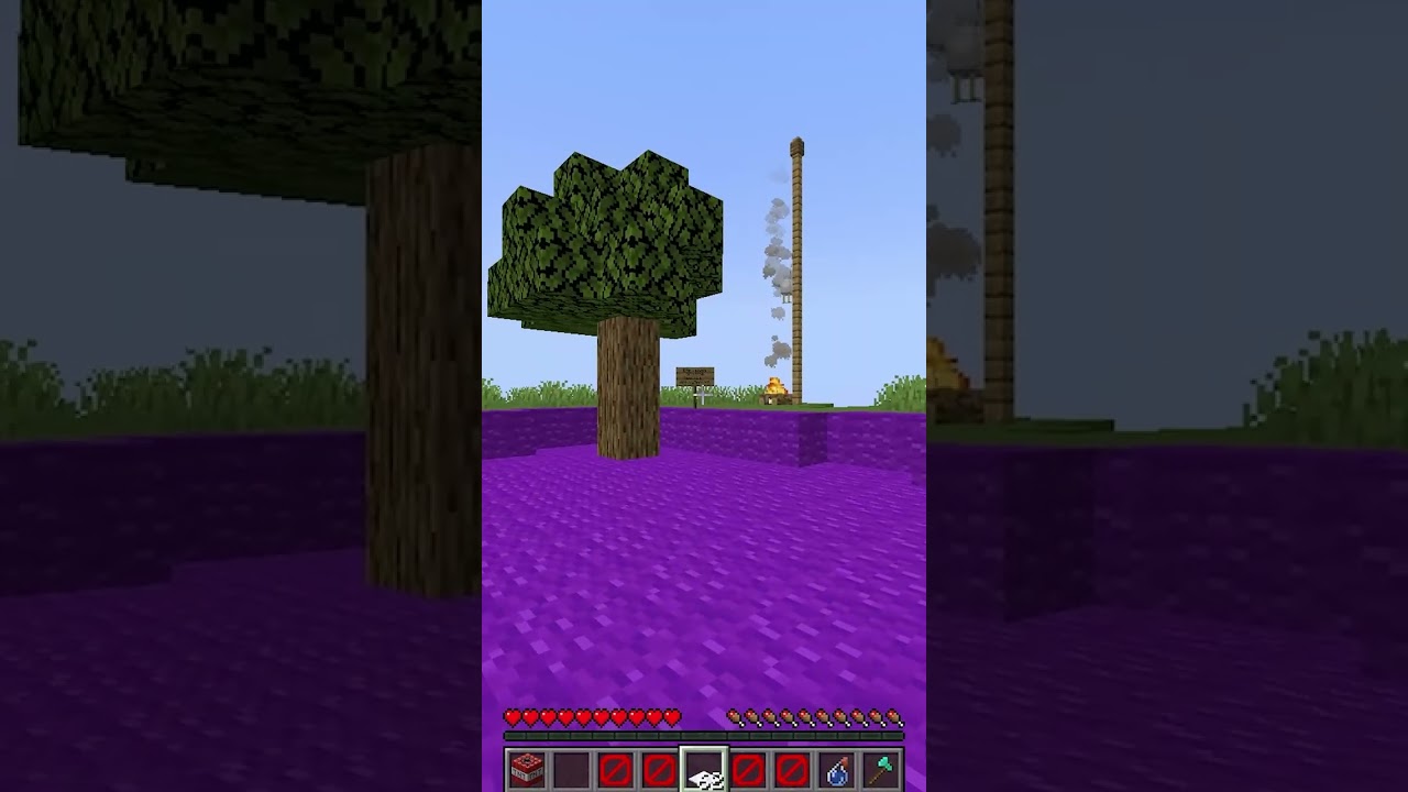 376 iq minecraft oyuncusu - Minecraft videos