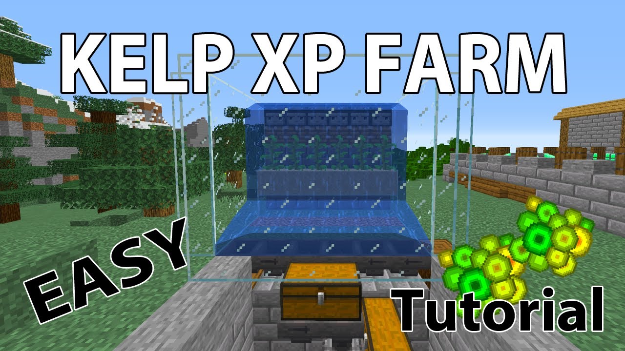 Kelp Farm Minecraft 1.17 | Easy early game XP Farm Tutorial | AFK ...