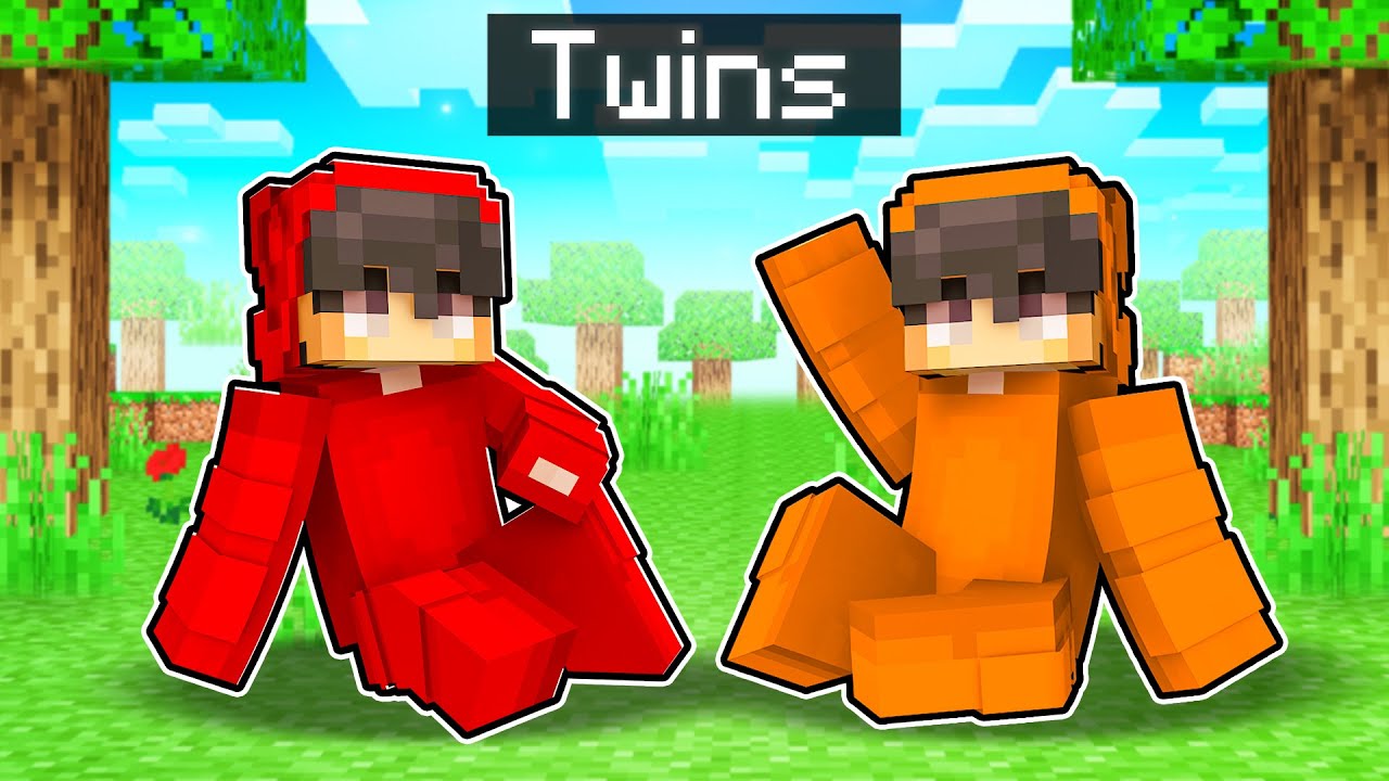 Playing Minecraft with my TWIN BROTHER! - Minecraft videos