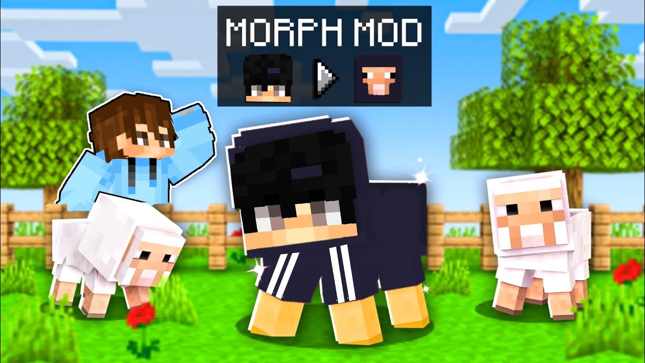 Using Morph Mod To Cheat In Minecraft Hide N Seek Minecraft Videos 6805