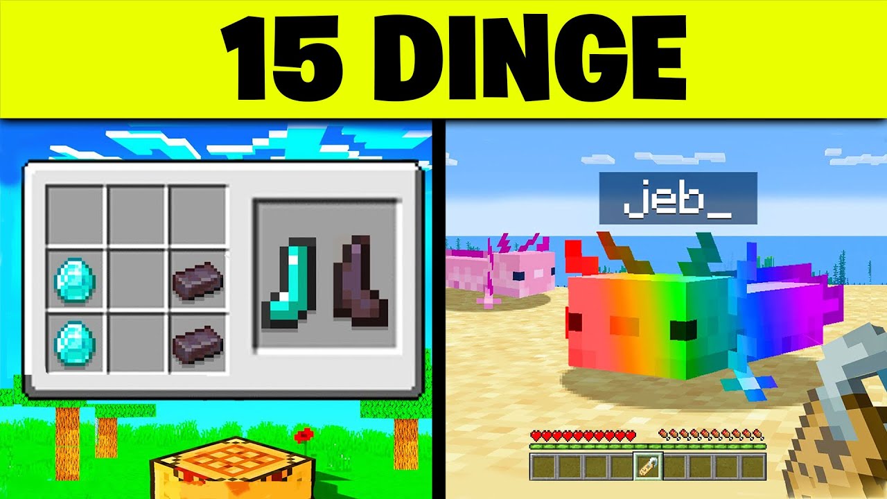 15 DINGE in MINECRAFT die nur PROFIS kennen! - Minecraft videos