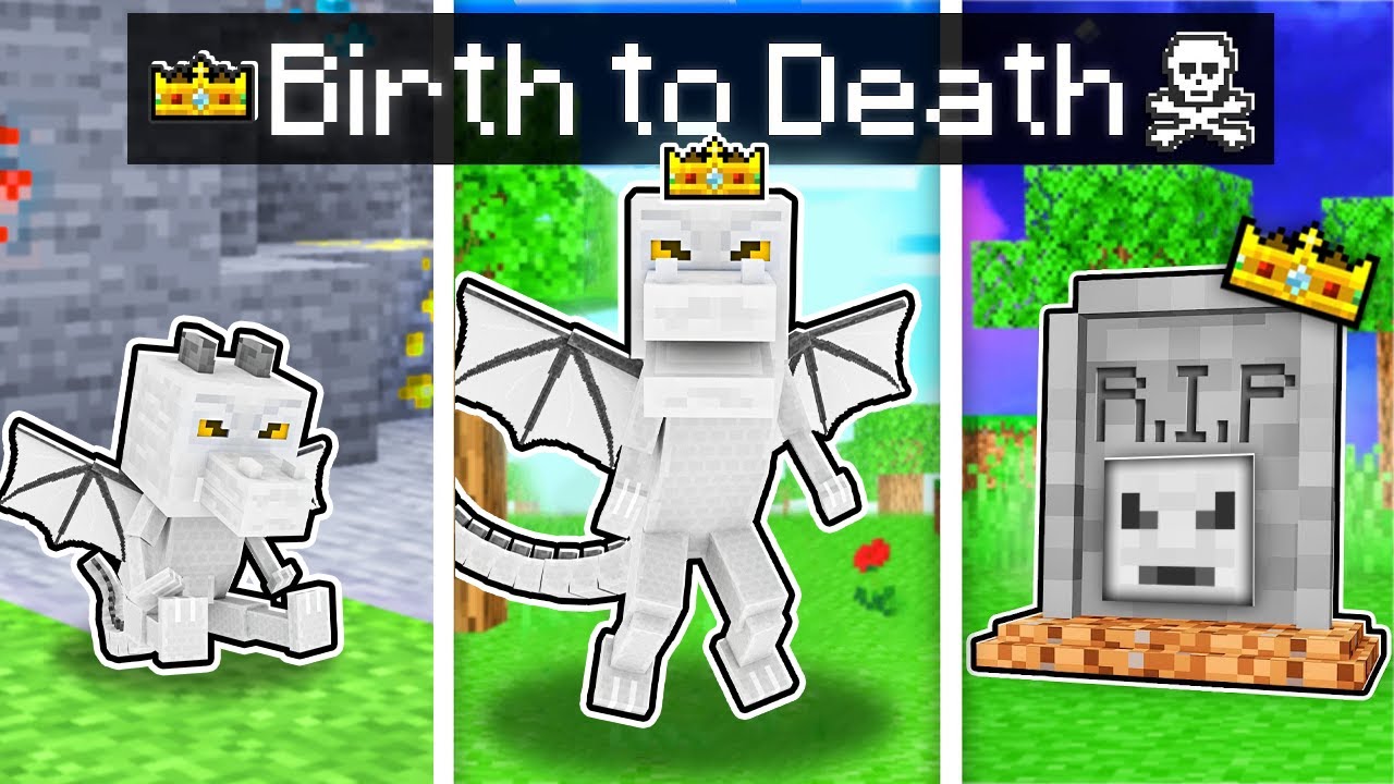 BIRTH to DEATH of a ROYAL DRAGON in Minecraft! - Minecraft videos