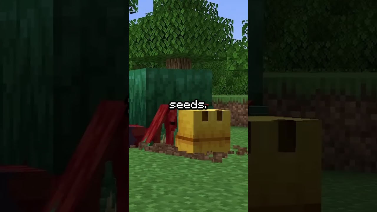 Minecraft 1.20's BEST Features #shorts - Minecraft videos