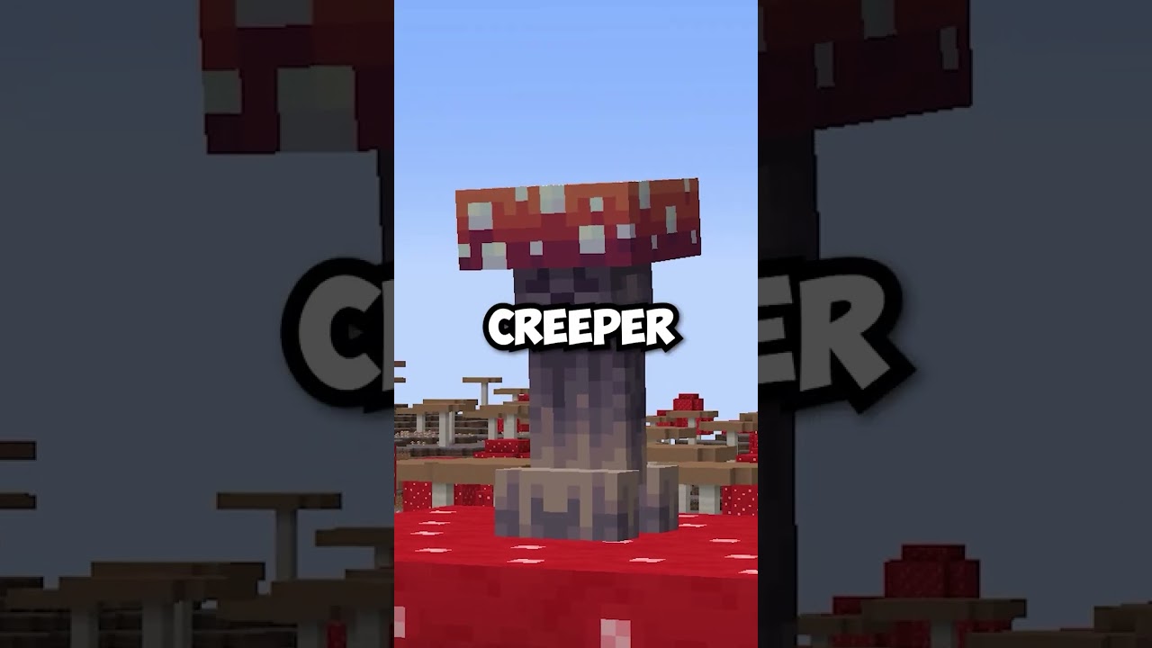 The Minecraft Creepers You've Never Seen - Minecraft videos