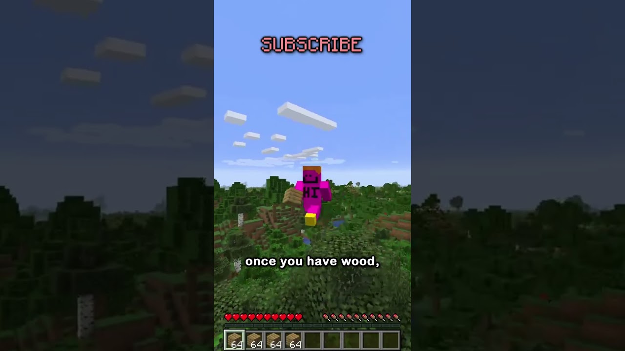 how to make friends in minecraft!!!!11 - Minecraft videos