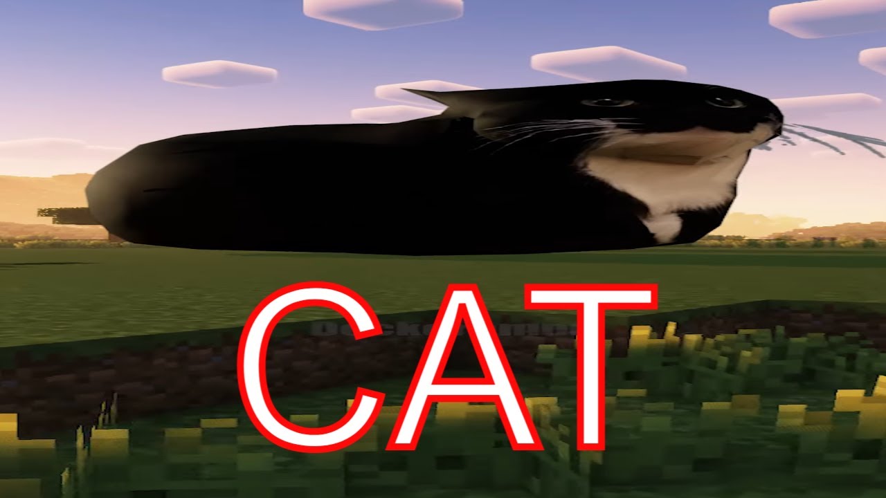 maxwell the cat builds itself in minecraft. - Minecraft videos