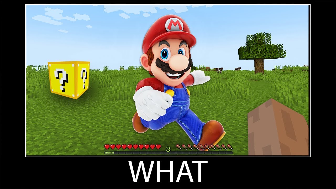 Minecraft wait what meme part 231 realistic minecraft The Super Mario ...