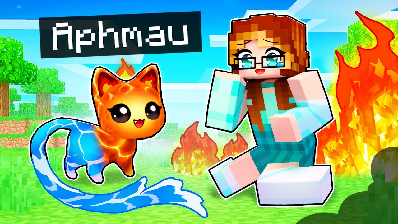 Playing Minecraft As A HELPFUL Elemental Kitten! - Minecraft videos