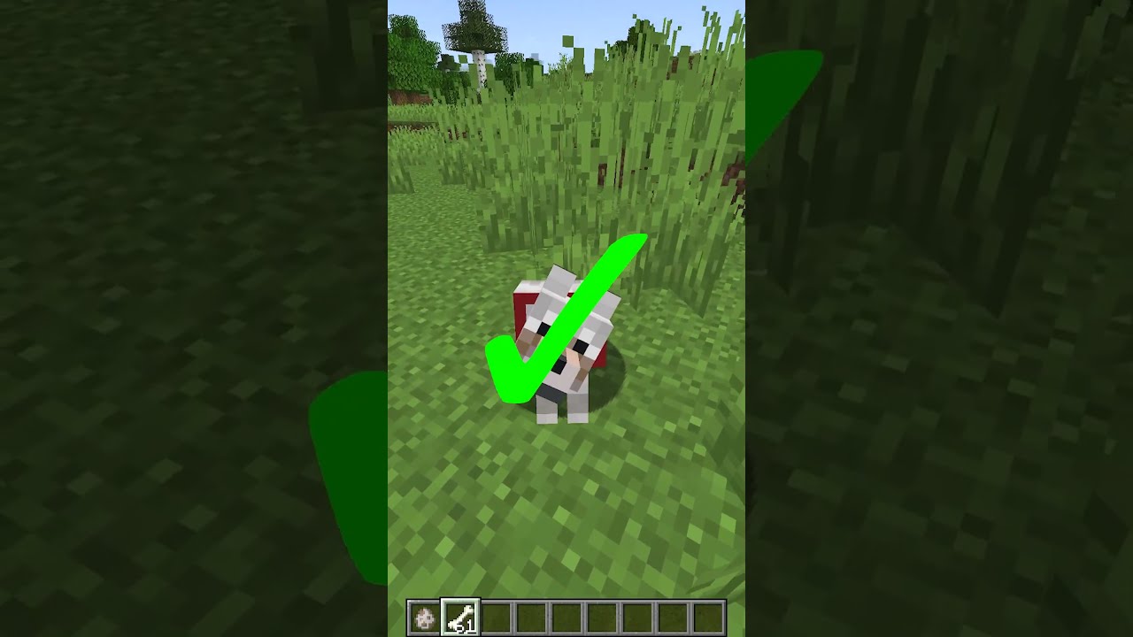 Testing Minecraft Hacks in One Minute! (#3) - Minecraft videos