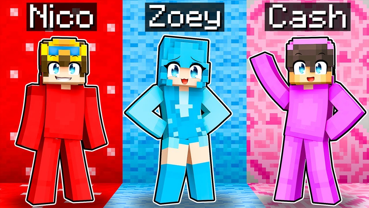 We SWAPPED COLORS In Minecraft! - Minecraft videos