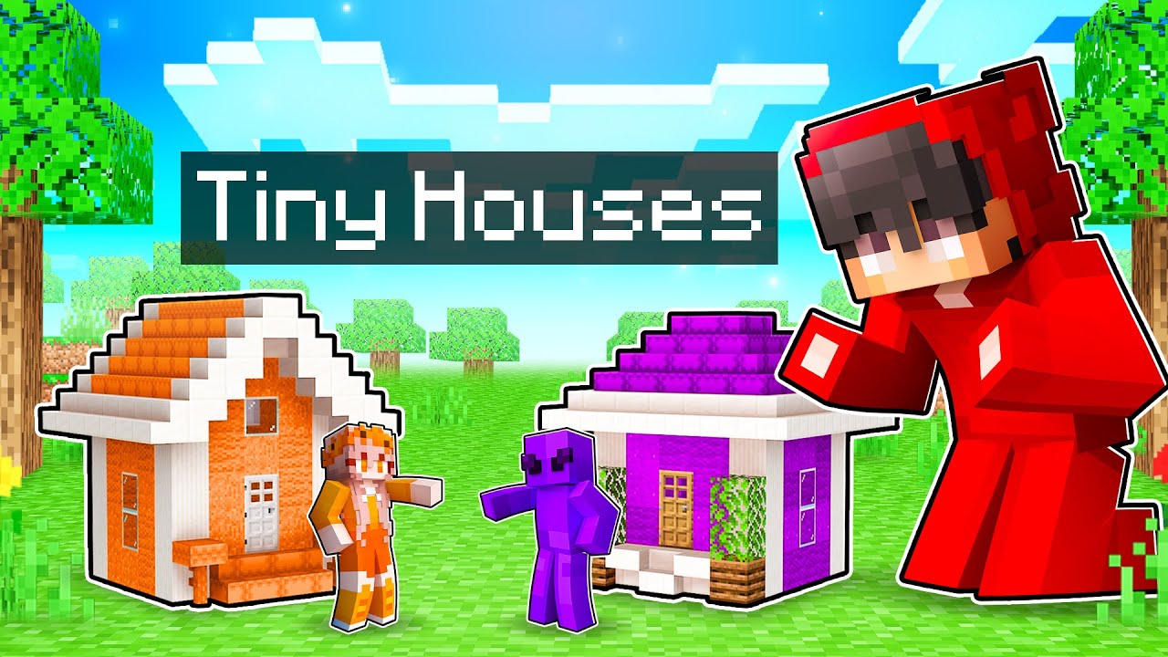 Mia vs Luke TINY House Battle in Minecraft! - Minecraft videos
