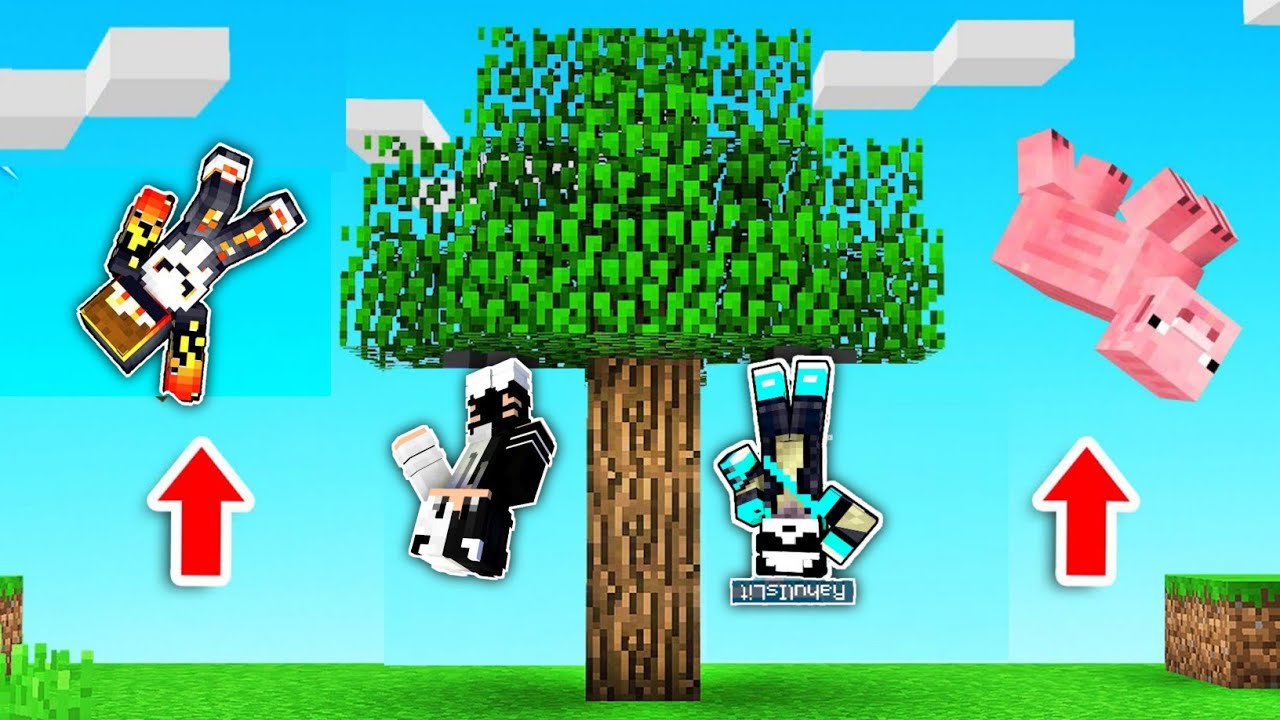 Minecraft But Gravity is Upside Down !!! - Minecraft videos