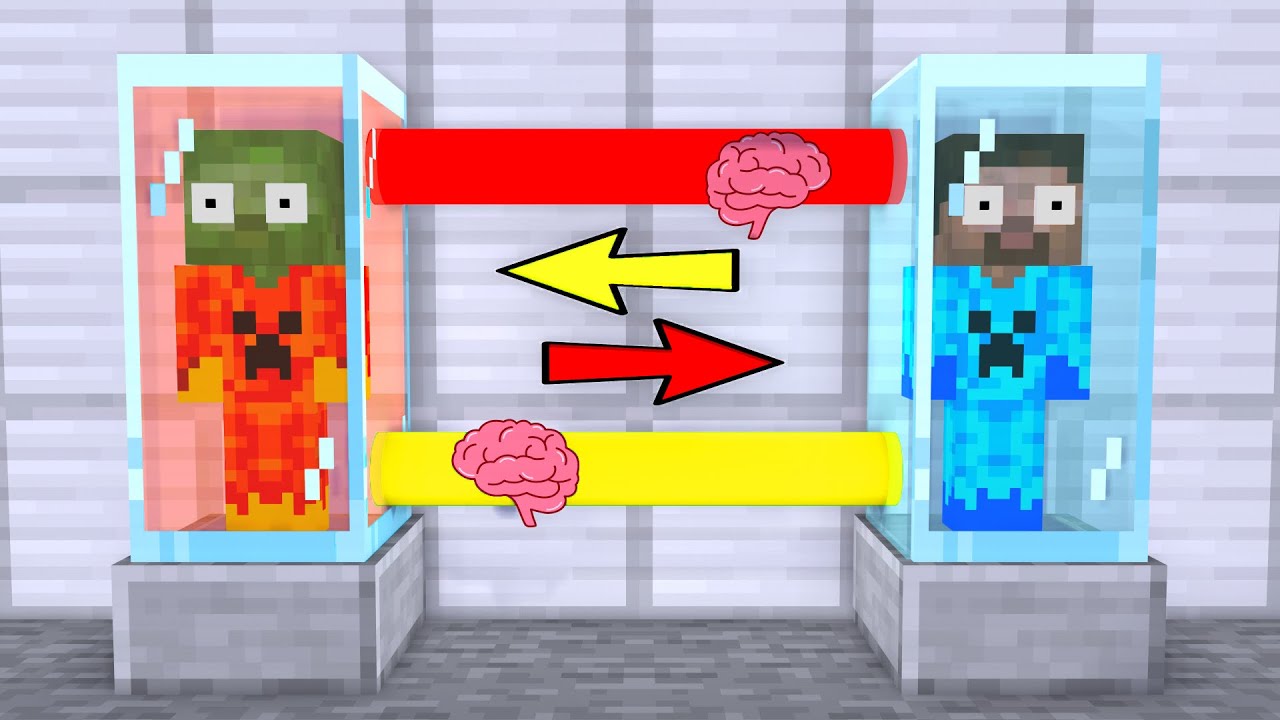 Monster School : Zombie Kid and Herobrine Kid Brain Exchange ...