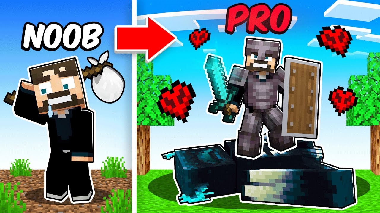 NOOB To PRO in Minecraft - Minecraft videos