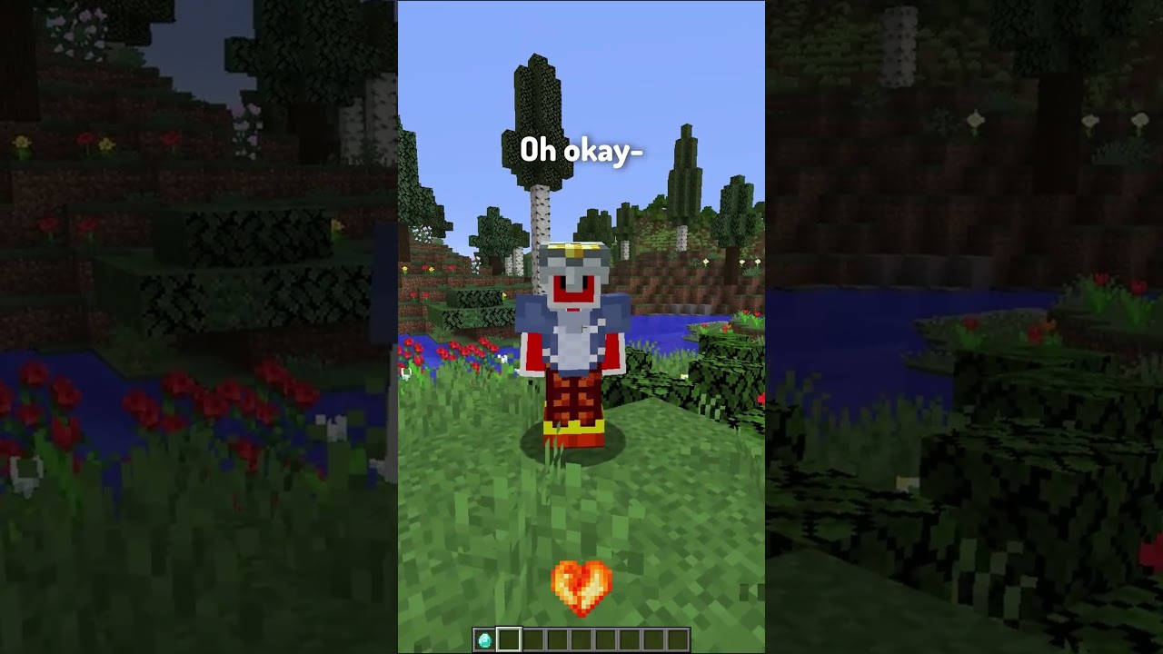 Types of Servers in Minecraft - Minecraft videos