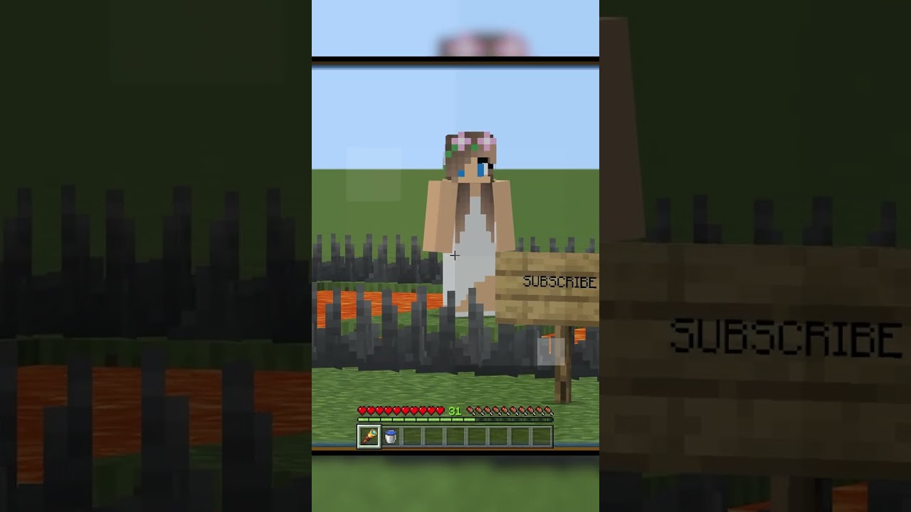 When Subscribers Have 10000 IQ #shorts #minecraft - Minecraft videos