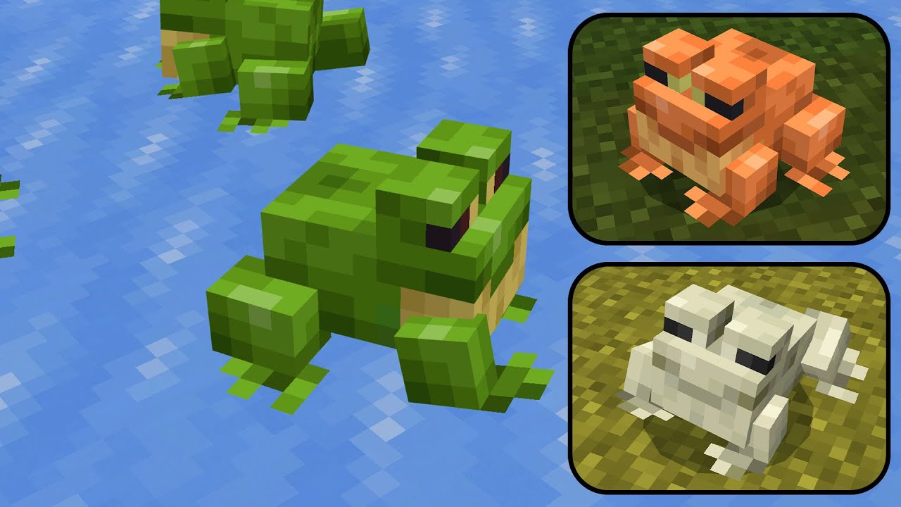 Frogs NOW in Minecraft Beta - The Wild Update (1.18.10.24) - Minecraft ...