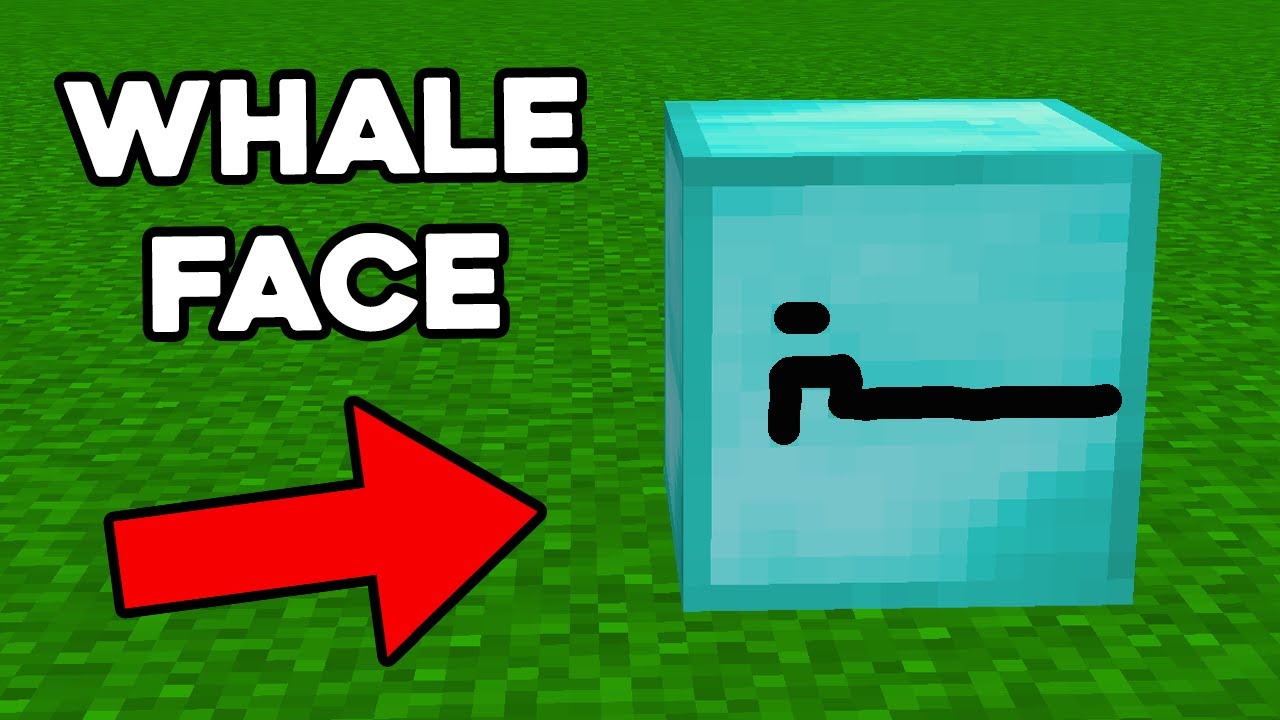 50 Things You Will Never Unsee in Minecraft - Minecraft videos