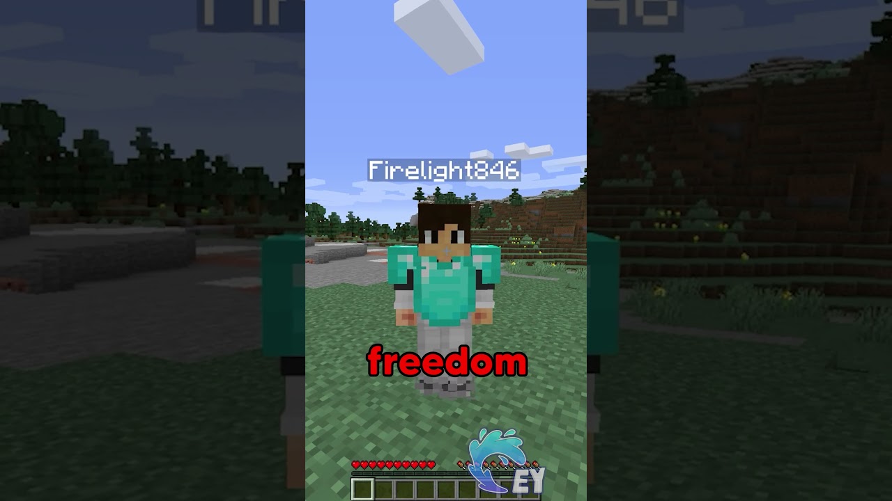 Different Types Of Servers in Minecraft! - Minecraft videos