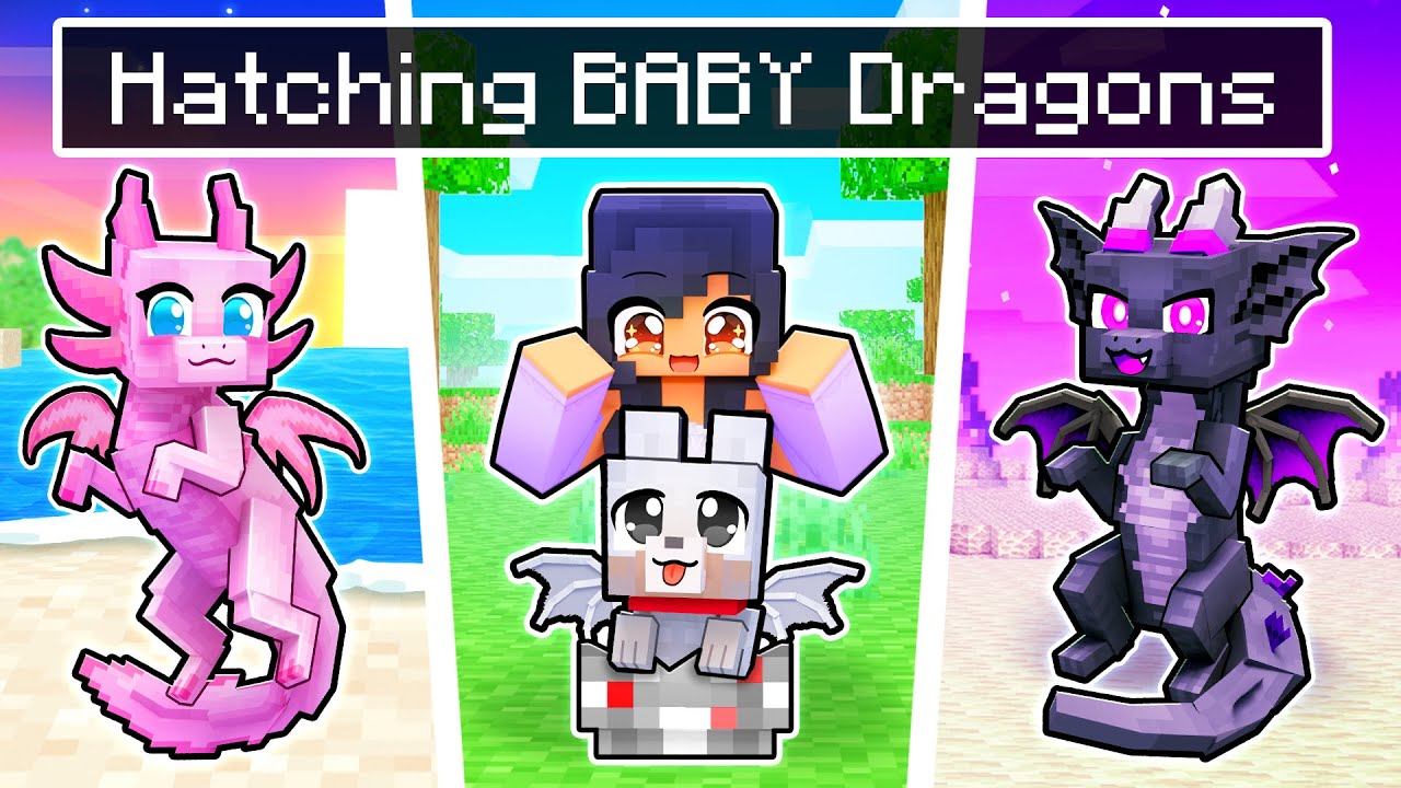 Hatching RARE DRAGONS in Minecraft! - Minecraft videos