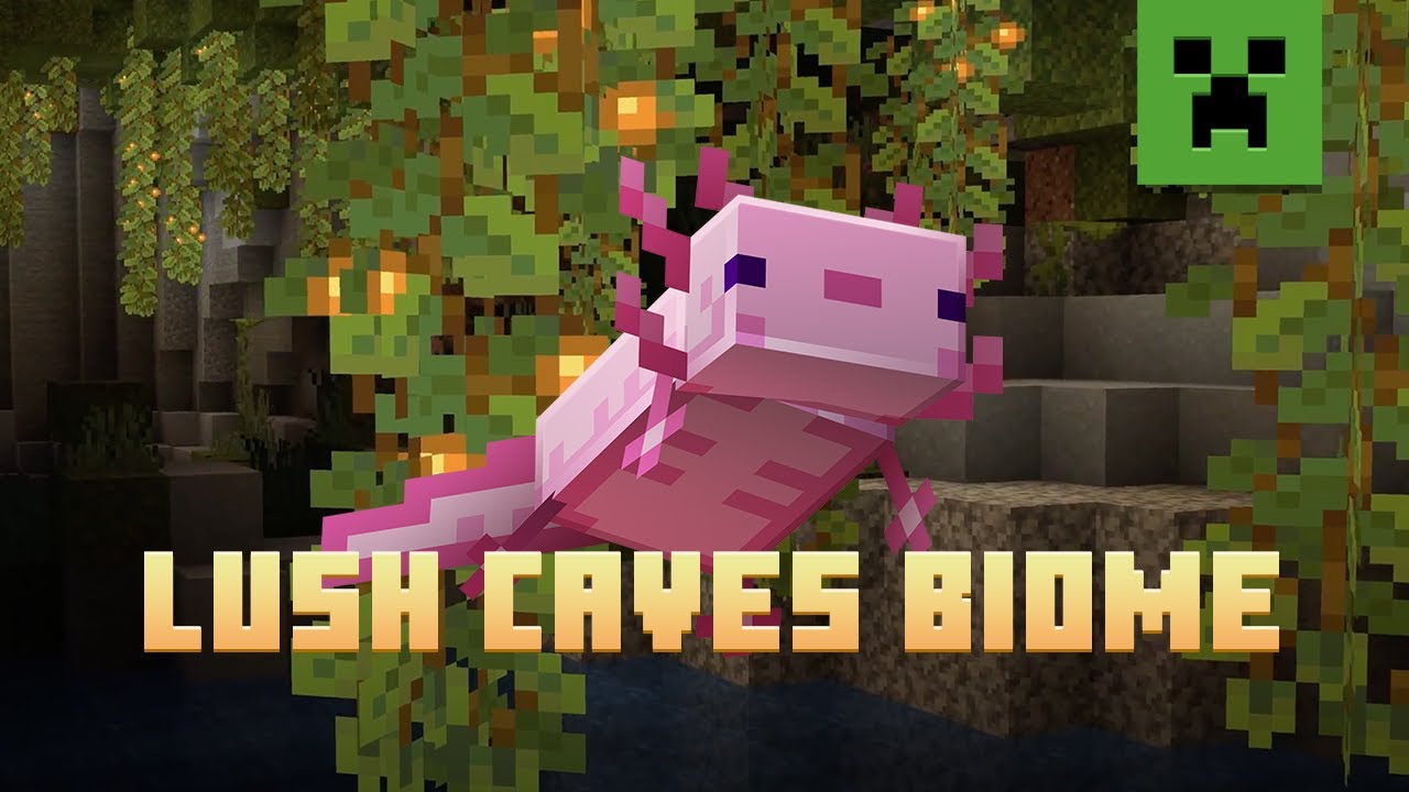 Minecraft: The Great Wild | Lush Caves - Minecraft videos