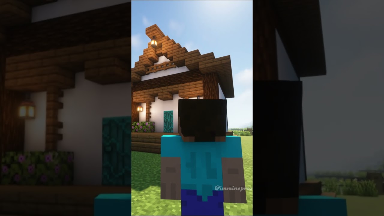 Minecraft: Without Friends This Game Is Incomplete - Past Lives #shorts ...