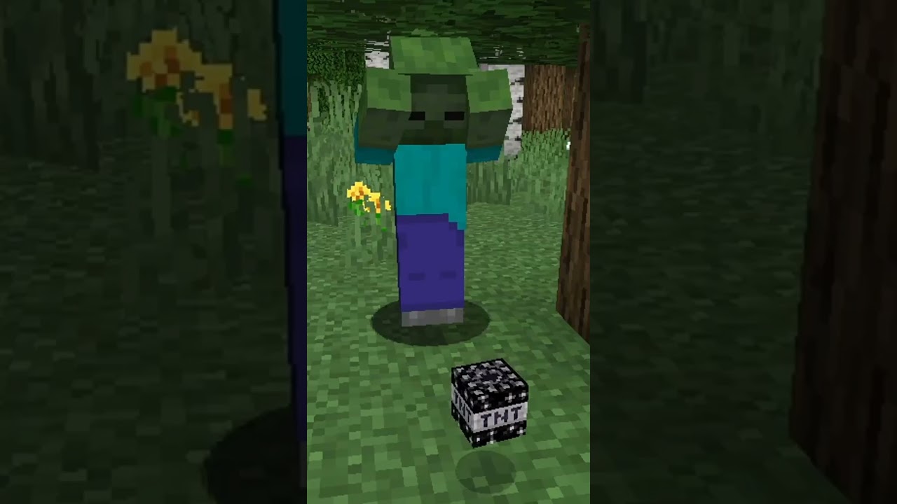 TNT NOCHE #minecraft #shorts #minecraftshorts - Minecraft videos