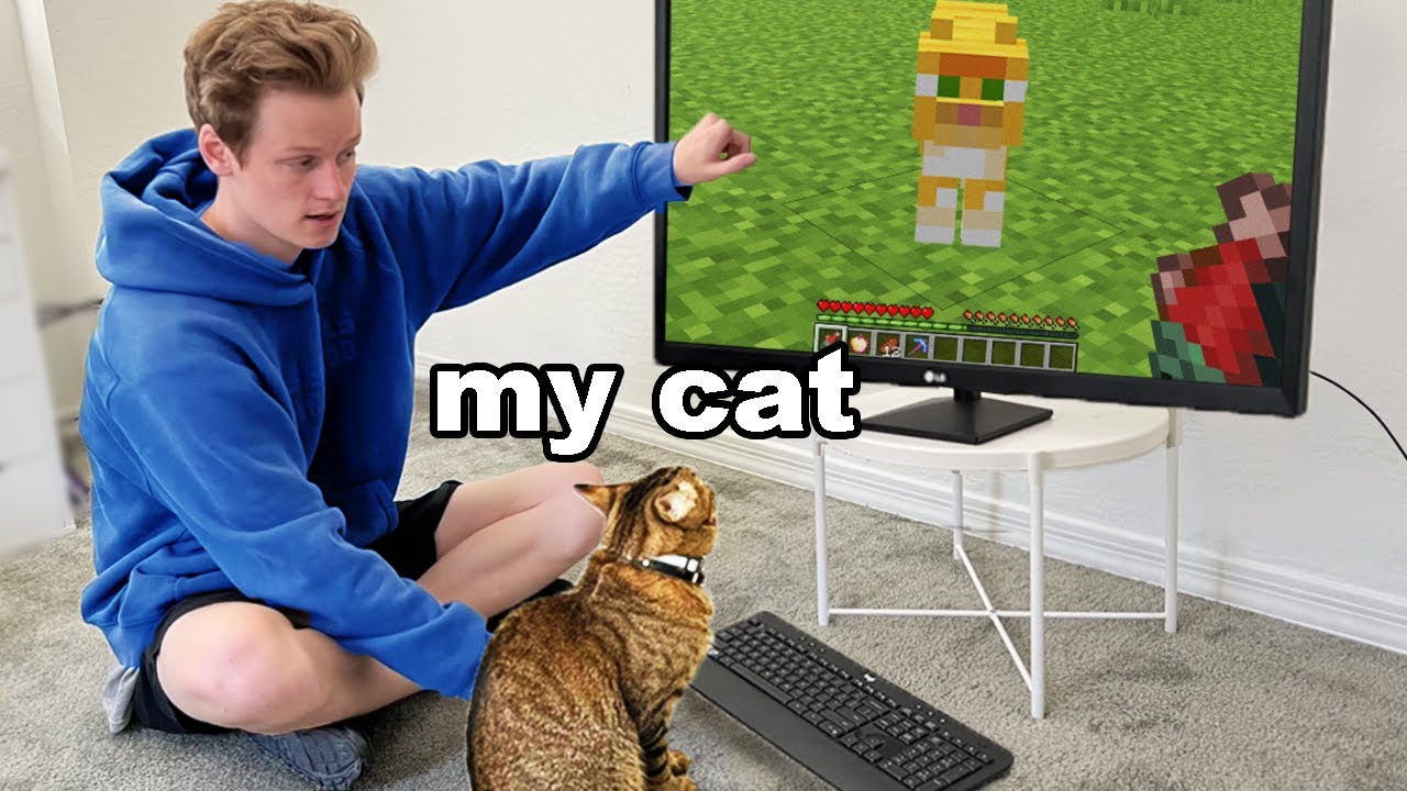 How I Taught My Cat To Play Minecraft - Minecraft videos