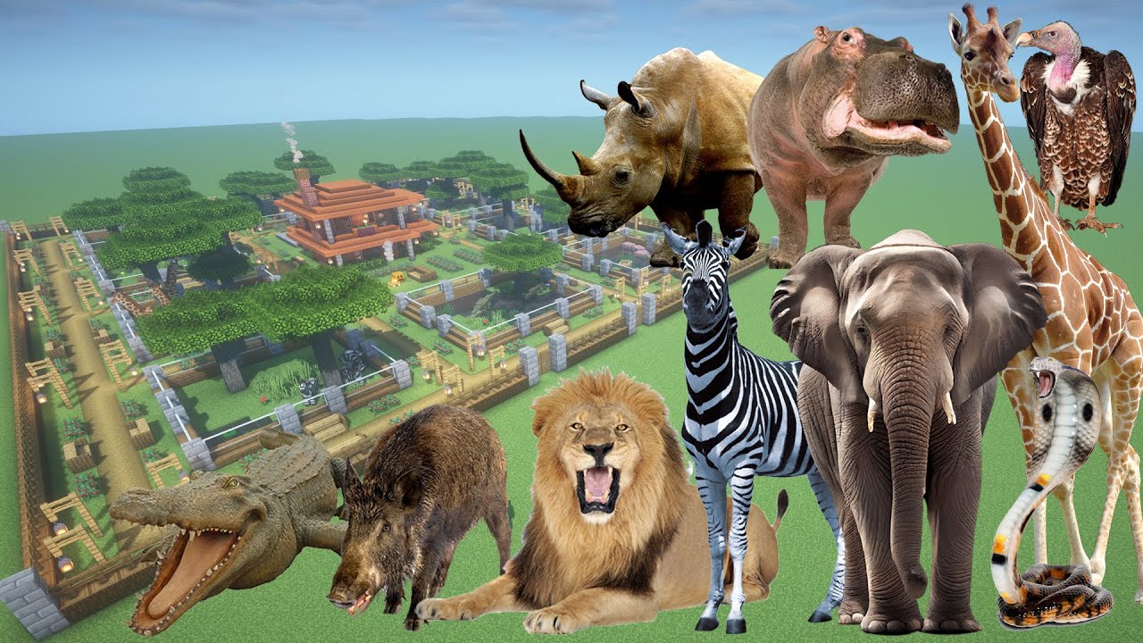 How To Make a Safari Animal Farm in Minecraft PE - Minecraft videos