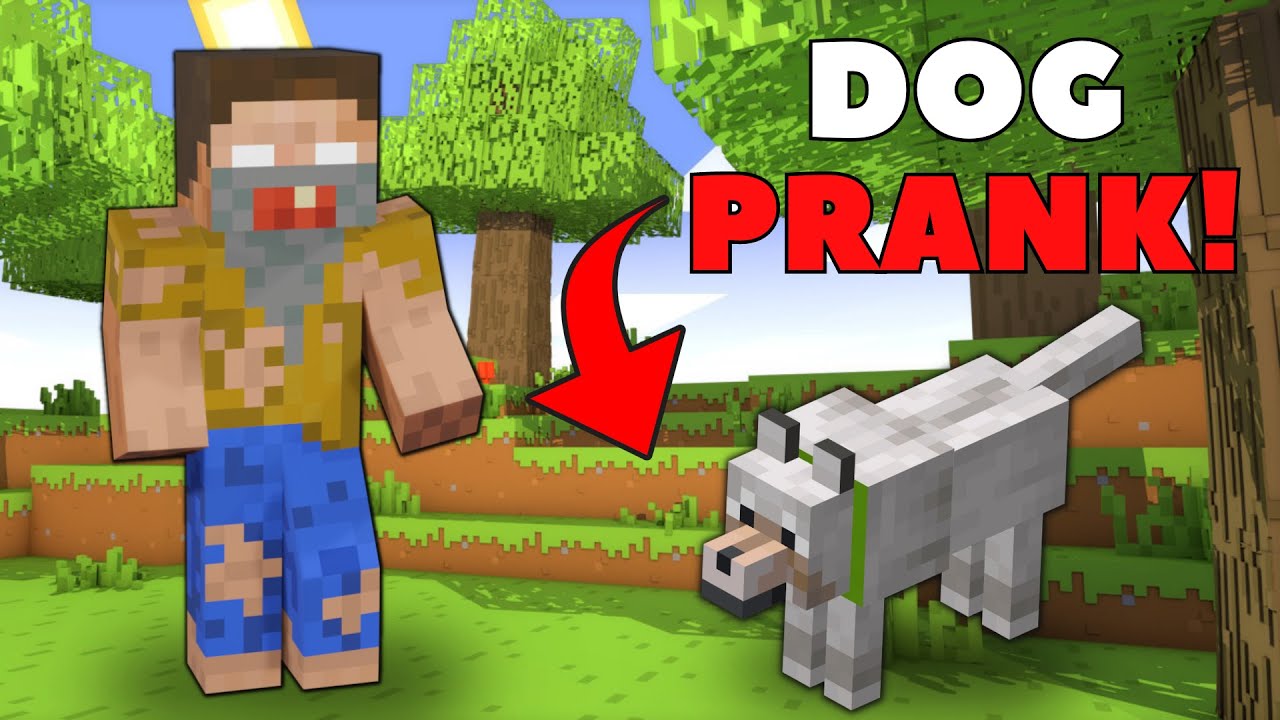 I Pranked My Friend as a DOG in Minecraft! - Minecraft videos