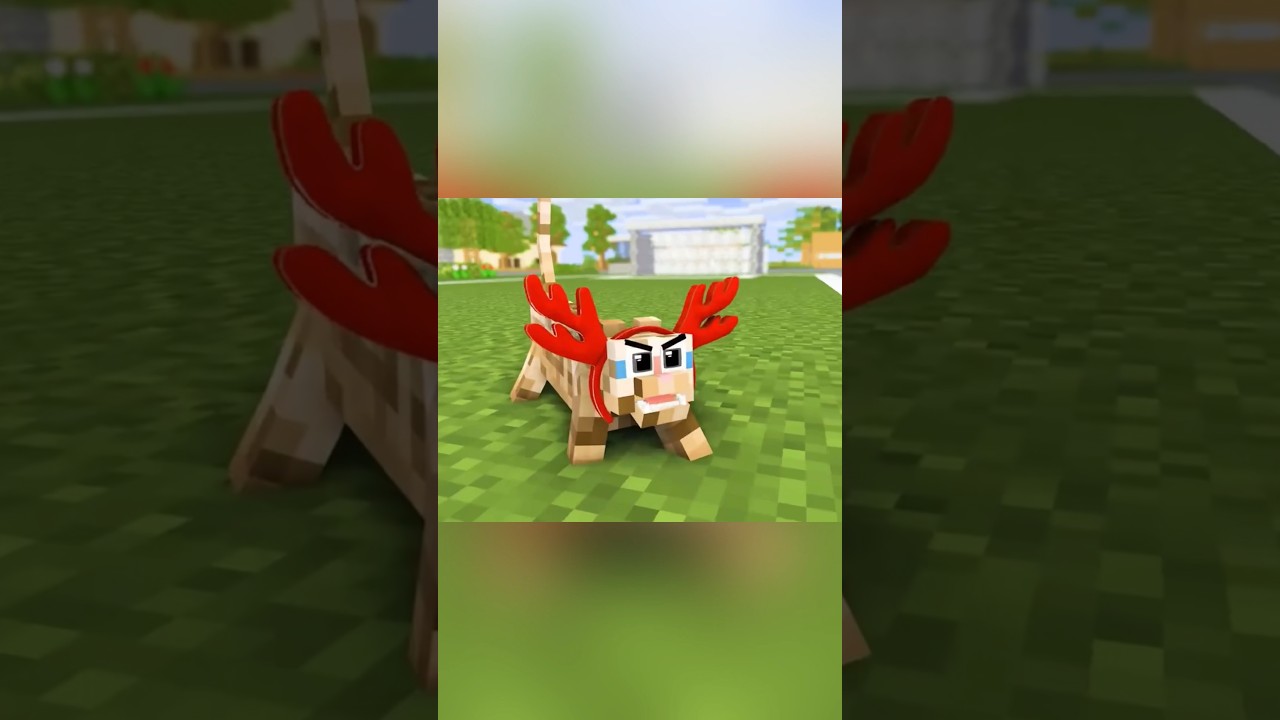 I made the cat a pet very easily minecraft animation game #minecraft # ...