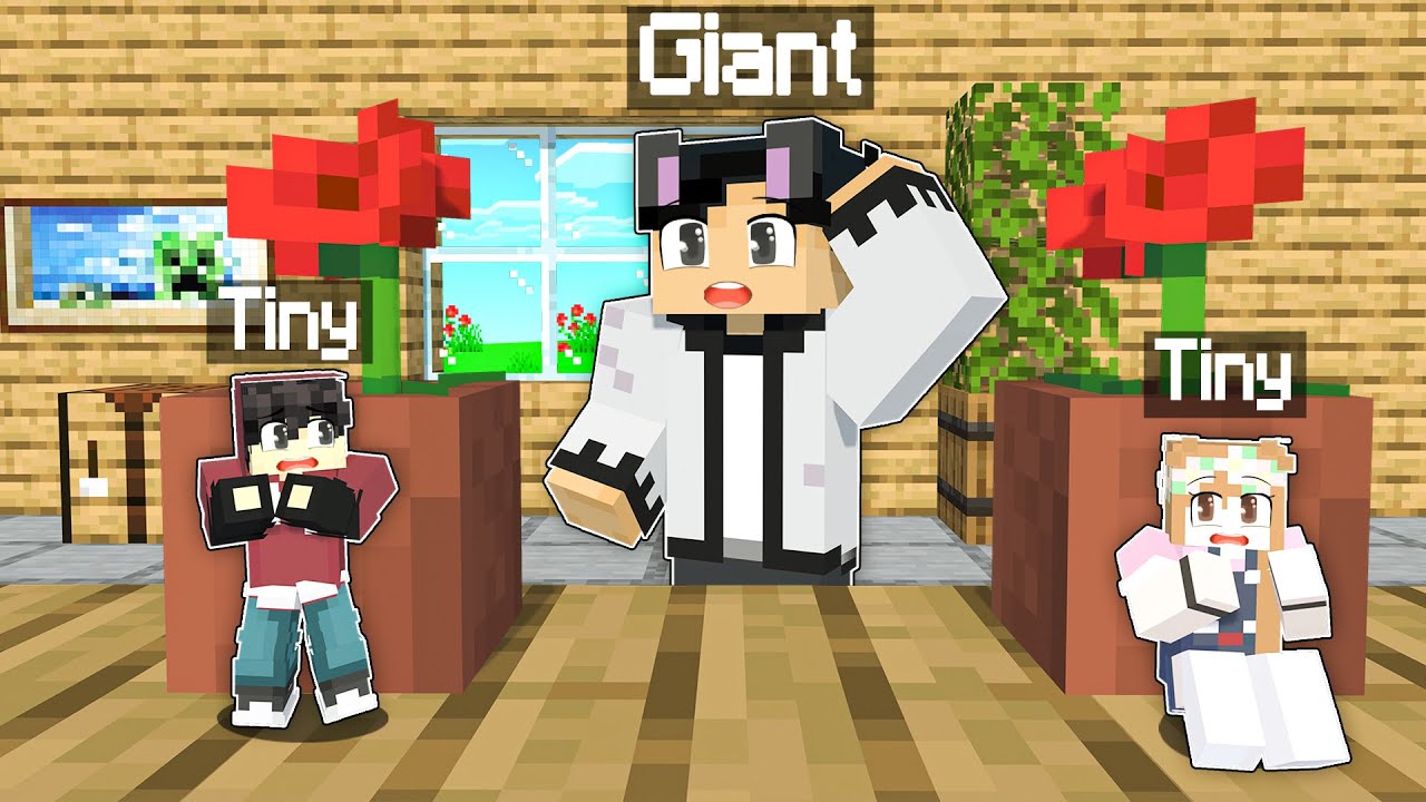 Minecraft GIANT vs TINY Hide and Seek! - Minecraft videos