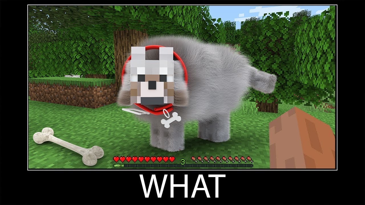 Minecraft wait what meme part 86 realistic minecraft Dog wool ...