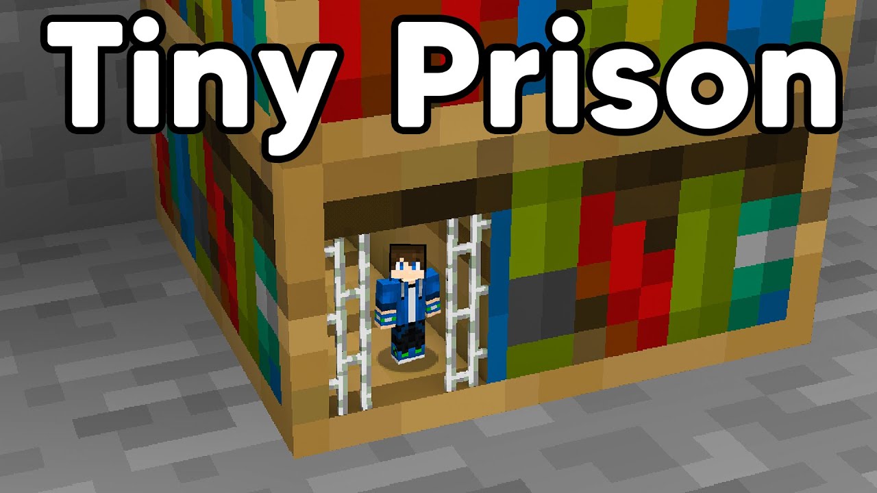 My Friends Trapped Me in a PIXEL, So I Got Revenge - Minecraft videos