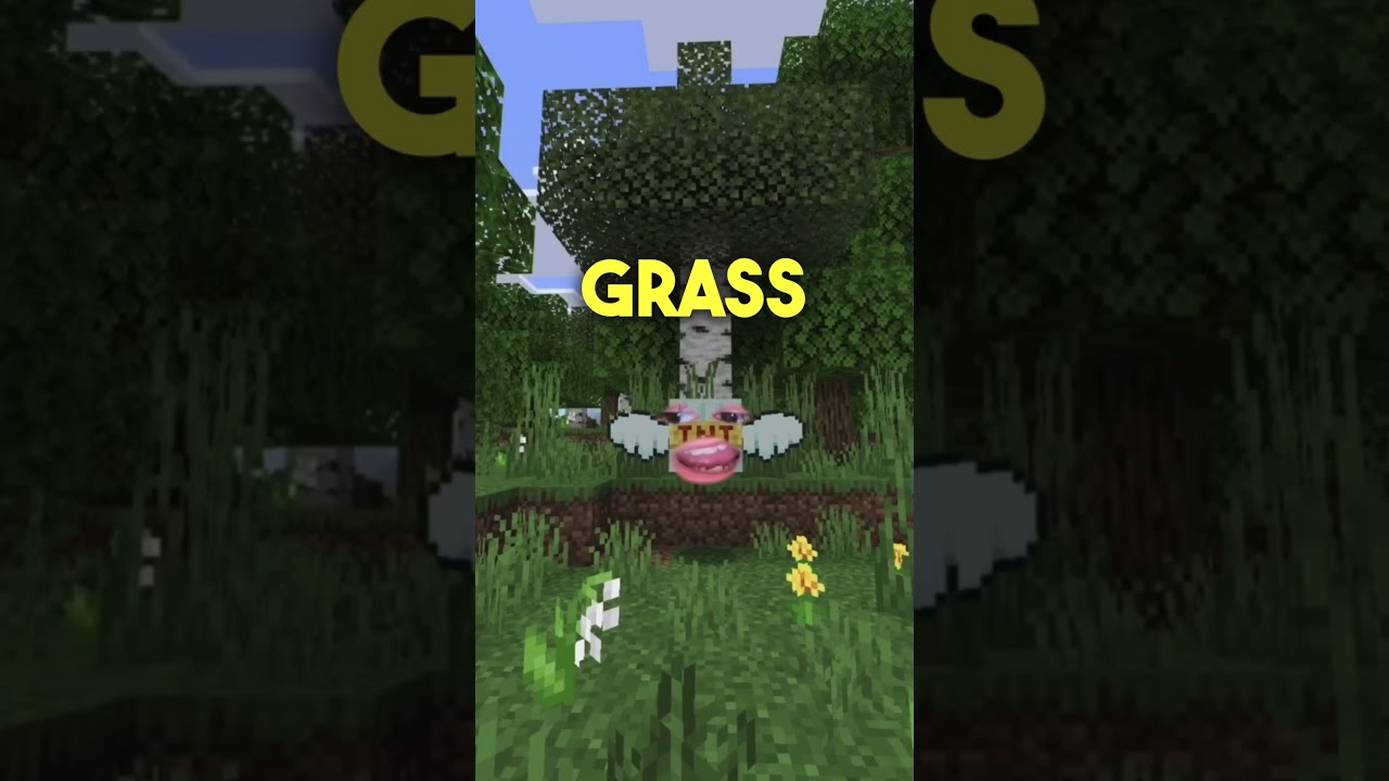 POV of angel TnT on Minecraft. #minecraft #minecraftshorts # ...