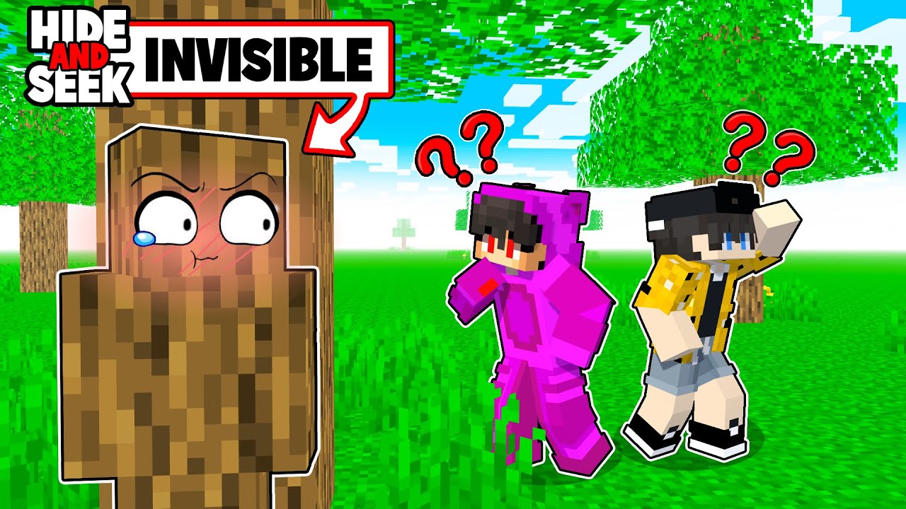 Using Invisible Cloak To Cheat In Minecraft Hide And Seek Minecraft Videos 0740