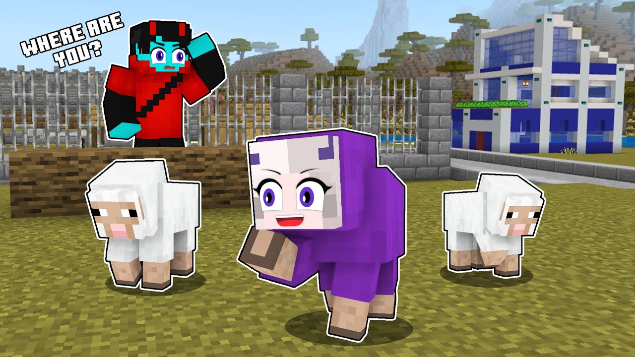 Using Morph To Cheat In Minecraft Hide And Seek Minecraft Videos 5217