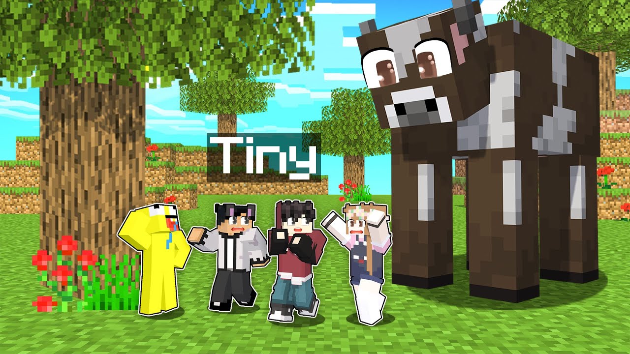 We Became TINY in Minecraft! - Minecraft videos