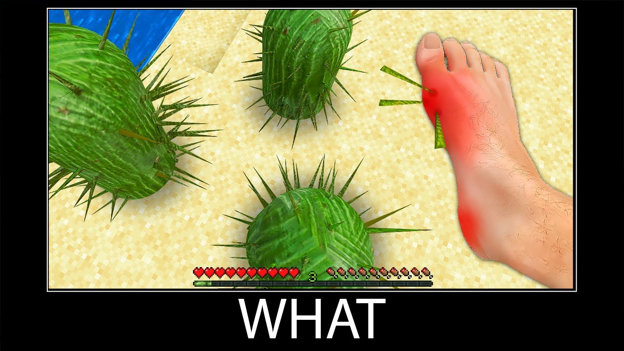 Minecraft wait what meme part 272 realistic minecraft Cactus ...